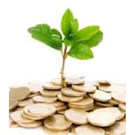 Около 80 от кандидатите за директни плащания остават извън зелените схеми