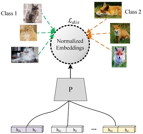 Generalized Zero Shot Image Classification Via Partially Shared Multi Task Representation Learning