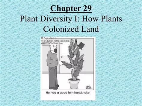 Ppt Chapter 29 Plant Diversity I How Plants Colonized Land