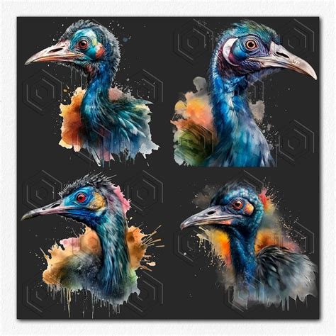 11 Png And  Cassowary Watercolor Clip Art Perfect For Etsy