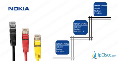 nokia service router certification program src ⋆ ipcisco