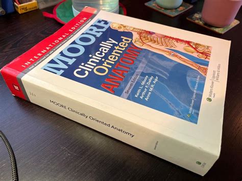 Moore Clinically oriented Anatomy 7th Edition 解剖學國際版 書籍休閒與玩具 書本及雜誌