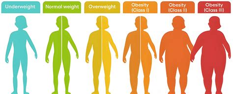 Bmi Calculator Gluck Laboratories