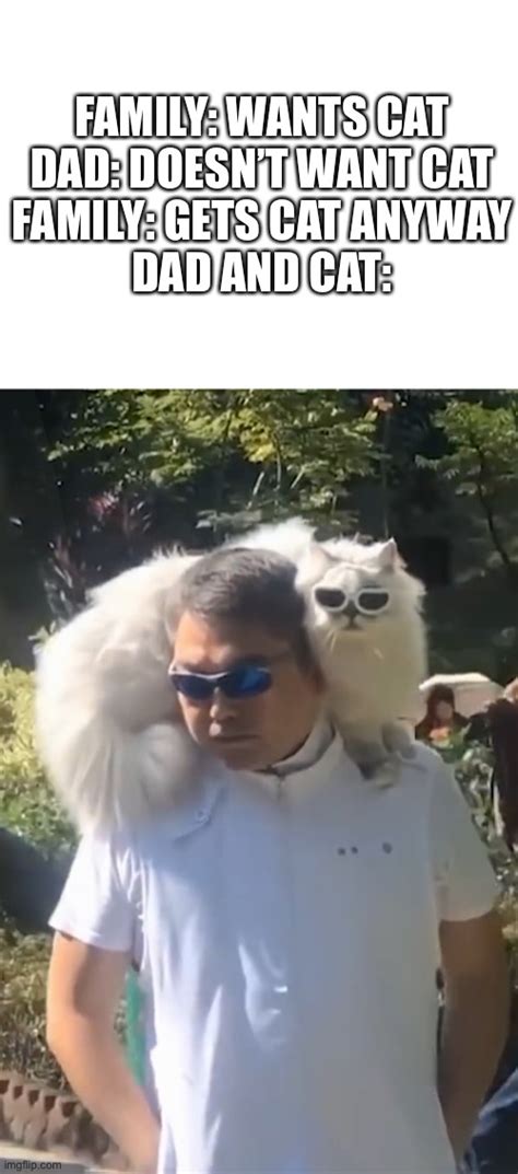 Yeah Meme Sunglasses Need A Laugh Follow Viralsarcazam For Hilarious