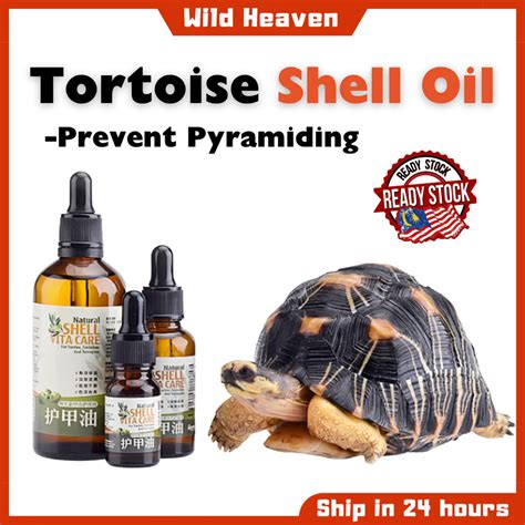 Tortoise Shell Oil Avoid Tortoise From Pyramid Turtle Moisturise Shell