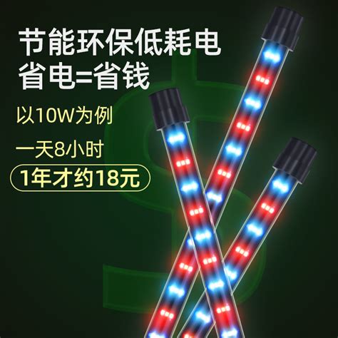 鱼缸灯led灯防水锦鲤龙鱼专用增色灯水族箱照明灯小型观赏鱼用灯 虎窝淘