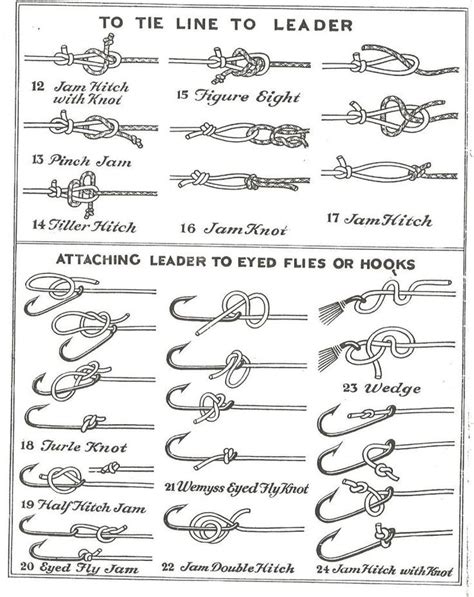 Fishing Knot Tying Guide Yoiki Guide