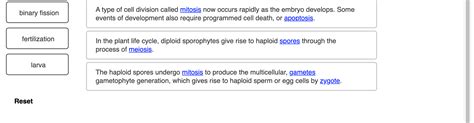 Solved Complete The Sentences Below About The Human Life Chegg