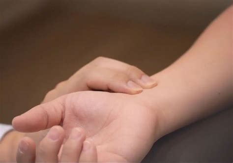 醫師揭密調理心法中醫也能調養的10大科別曝光 蕃新聞