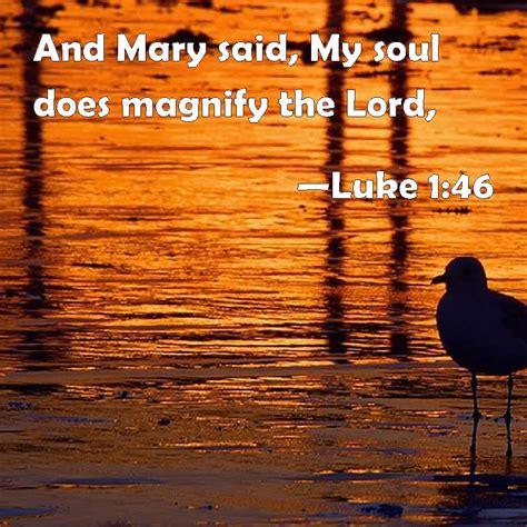 Luke 1 46 And Mary Said My Soul Does Magnify The Lord