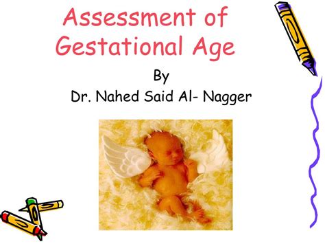 Ppt Assessment Of Gestational Age Powerpoint Presentation Free Download Id5599830