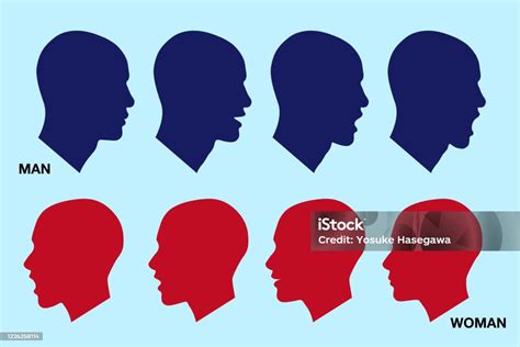 남자와 여자 측면 얼굴 실루엣 입 열기 벡터 일러스트 0명에 대한 스톡 벡터 아트 및 기타 이미지 0명 머리 벡터