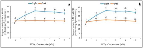 Plants Free Full Text Regulation Of NADP Malic Enzyme Activity In