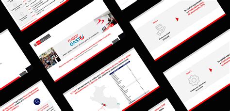 Presentation Data Visualization Behance