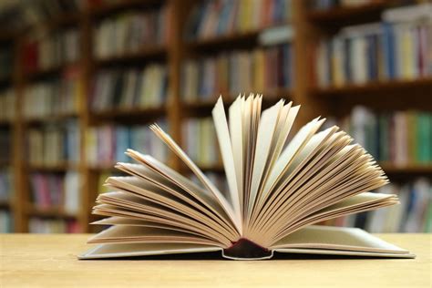 Los Mejores Libros De 2021 Love My Senses