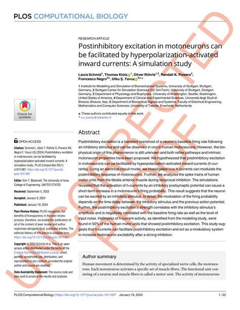 Pdf Postinhibitory Excitation In Motoneurons Can Be Facilitated By Hyperpolarization Activated