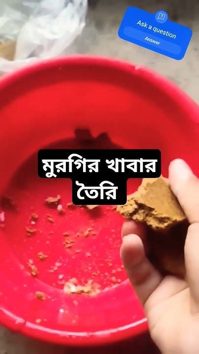 কম খরচ এ মুরগির খাবার তৈরি Youtube