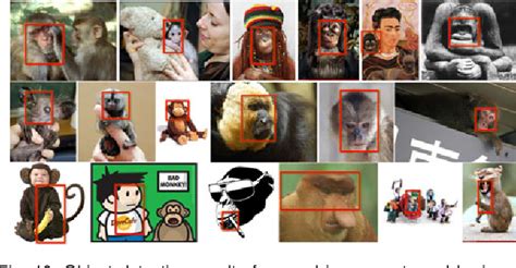 figure 1 from unsupervised object class discovery via saliency guided