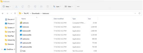 How To Use Autoruns To Disable Startup Programs On Windows