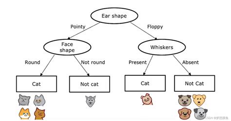 【吴恩达机器学习2022学习笔记】课程2 决策树和随机森林 知乎