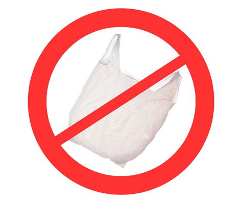 Jackie Ramler On Linkedin Refuse Single Use Plastics There Are Other