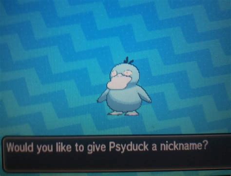 Shiny Psyduck And Golduck Pokémon Amino