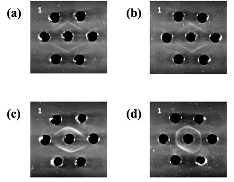 Reactivity Of C Difficile Positive Serum With C Difficile Toxin A And