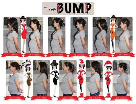 Pregnancy Progression Heres A Summary Of The 1st Half Of My