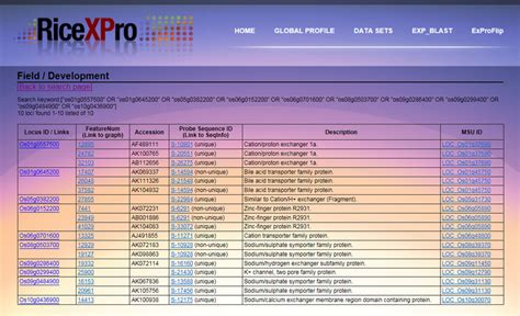 How To Find The Genes For Agilent Rice Microarray Probes E G Os G And How To Find