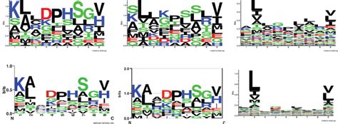 Sequence Logos Generated From Small Sequence Samples All Logos Except Download Scientific