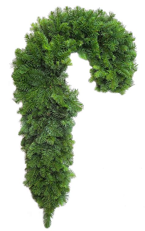 Products Willamette Evergreen