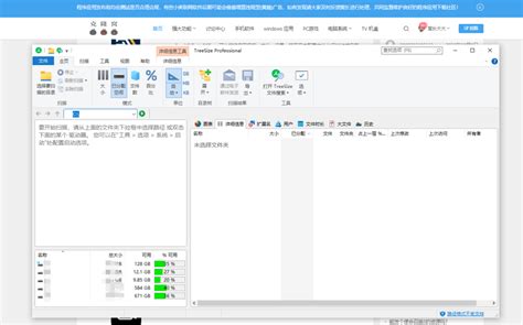 Treesize Professional V9031852 解锁版 硬盘空间管理器 克隆窝