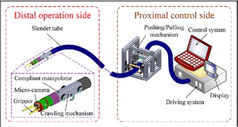 Figure 1 From Neural Networkbased Sliding Mode Control Of A Tendon Sheathactuated Compliant