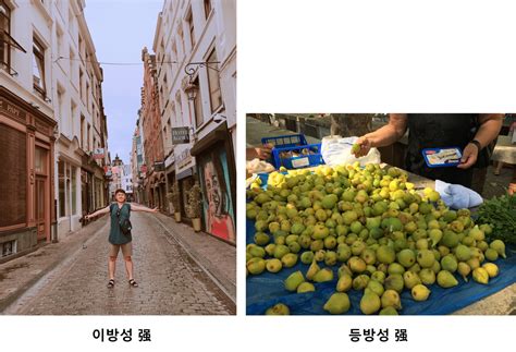 등방성 Isotropic 이미지와 이방성 Anisotropic 이미지란 By