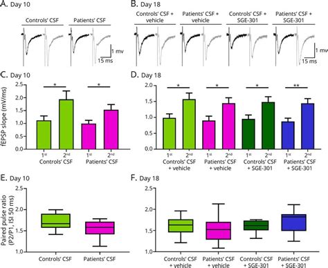 Paired Pulse Facilitation Is Unaffected In Animals Infused With