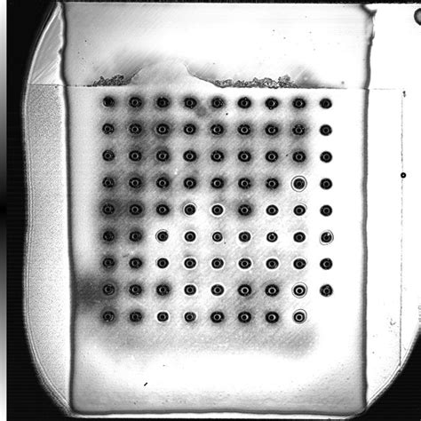 Csam Image Of The Mo Sample After Polyimide Processing And After Download Scientific Diagram