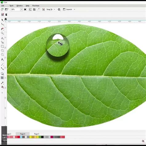Water Drop Effect In Coreldraw Youtube
