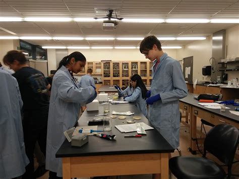 coding for medicine lab