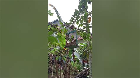 Pppppppppppppppppppppppppppppppppp Youtube