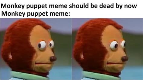 Nonchalant Whistling Intensifies Awkward Look Monkey Puppet Know