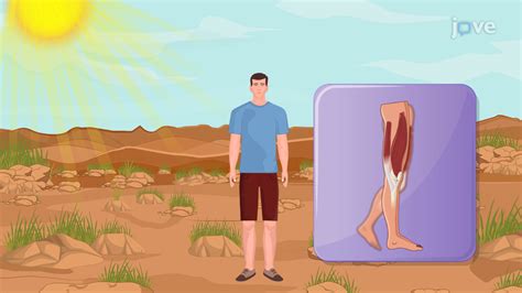 Video Sensory Modalities