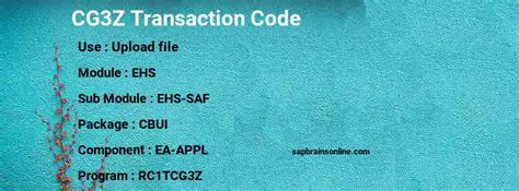 CG Z SAP Tcode For Upload File