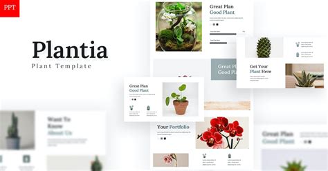 Планция Шаблон Powerpoint Шаблоны презентаций Envato Elements