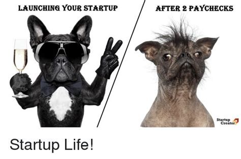 Lazy Programmer On Linkedin Share Your Startup To Our Community 🥳 👉