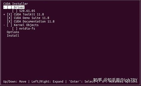 Ubuntu Torch Torch Geometric