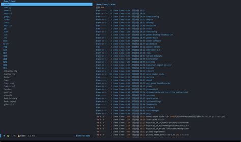 请教：doom Emacs里面的“dirvish”插件怎么显示icons图标？ 新手求教 Emacs General Emacs China