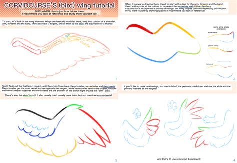 How To Draw Bird Wings Step By Step