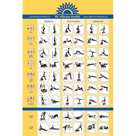 Buy Full Body Vibration Poster Whole Body Vibration Plate Exercise
