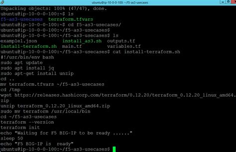 Install Terraform Step 6