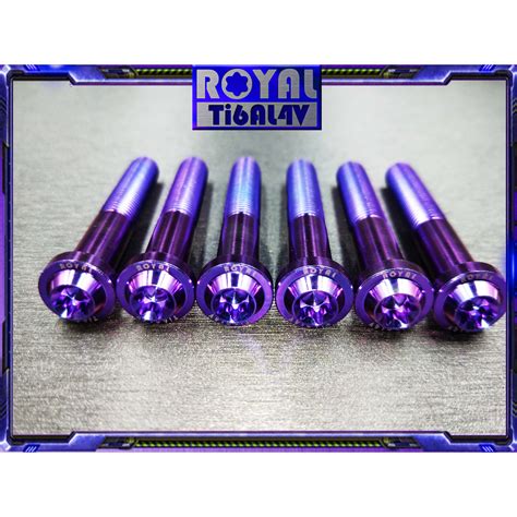 【瘋螺絲】royal鈦合金螺絲★m1065f P125 64正鈦螺絲★cnc鍛造內梅花內星型螺絲★皇家紫 蝦皮購物